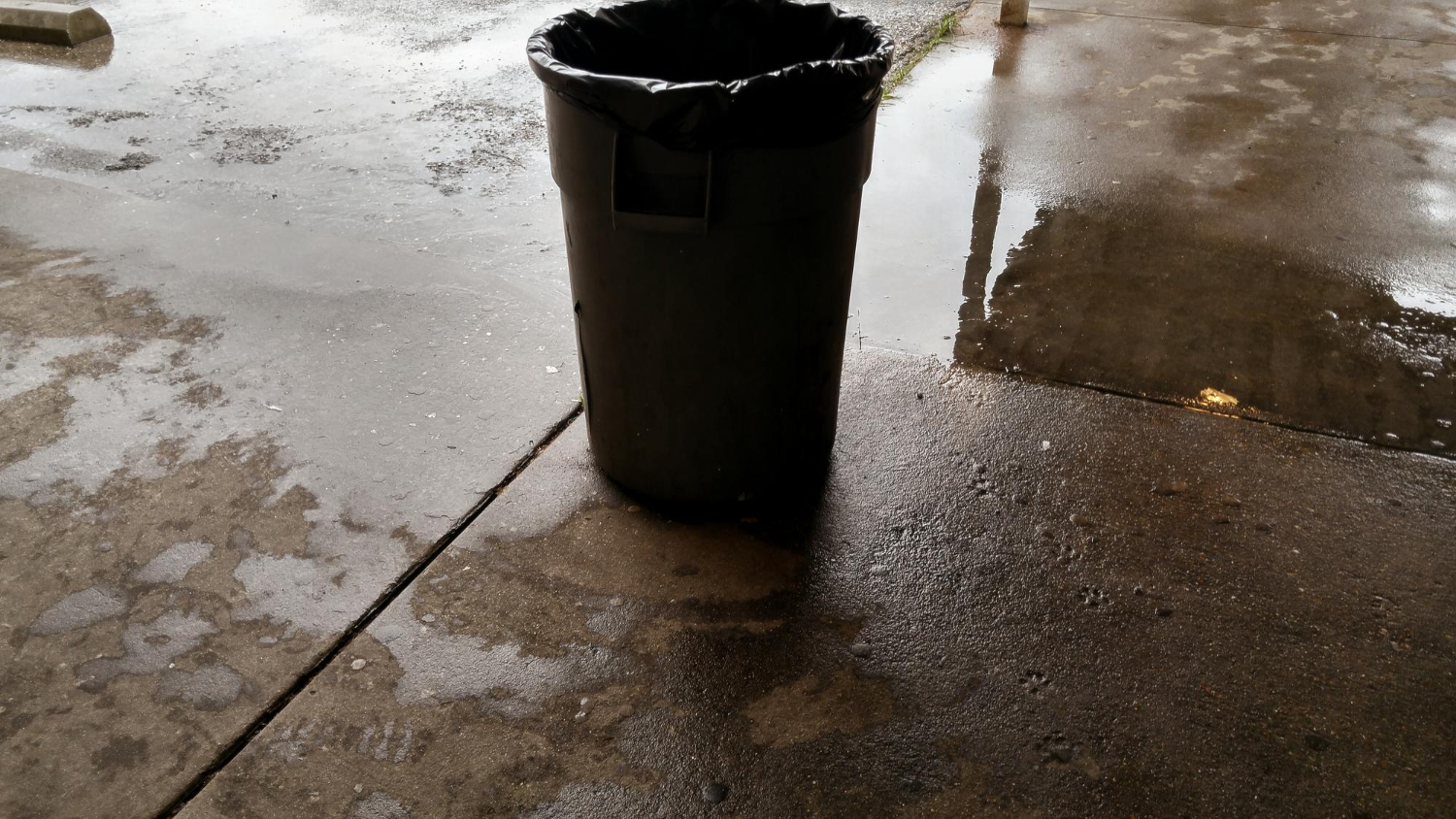 Flood Aftermath: The Importance Of Prompt Water Damage Restoration